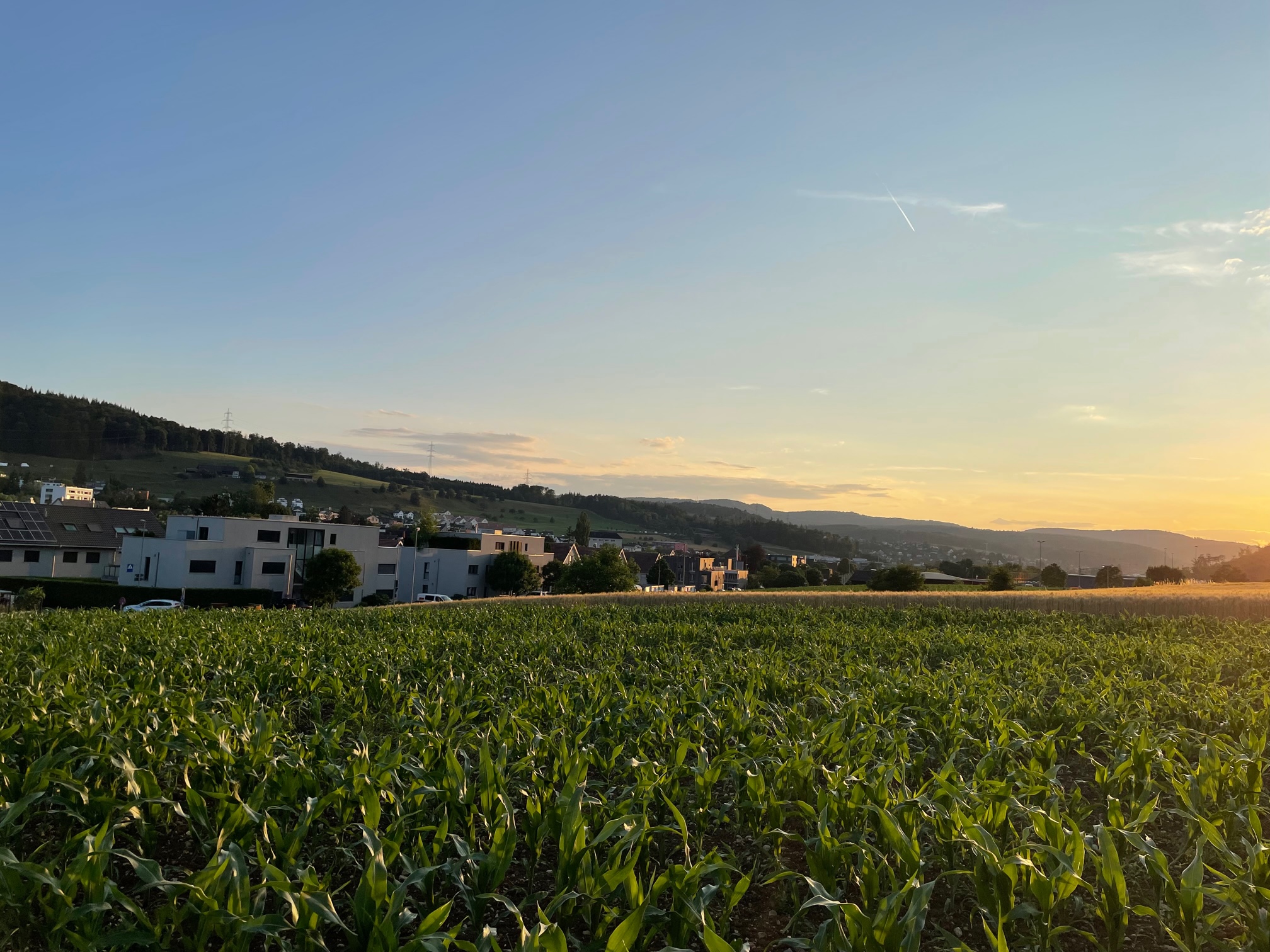 Aktuell - SP Lausen : SP Lausen